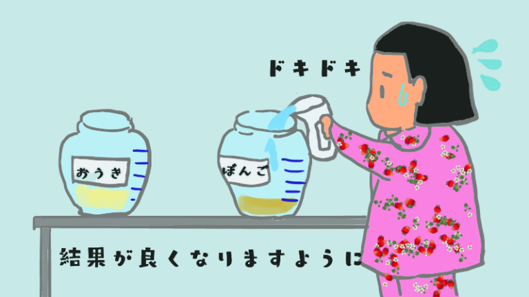 紫斑病腎炎入院時、畜尿に水増し事件｜ぼんごぶろぐ | ぼんごぶろぐ